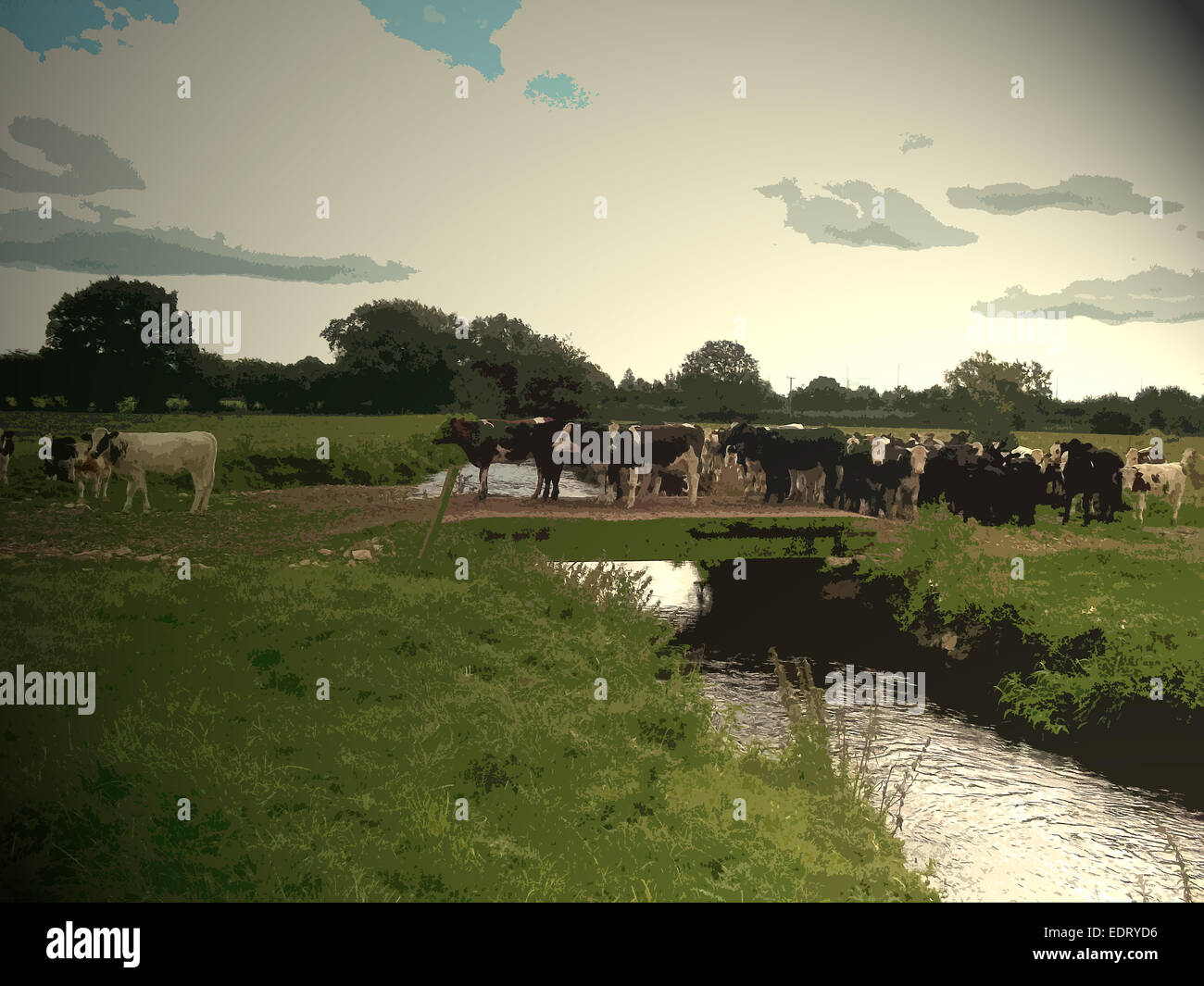 Cattle crossing a river hi-res stock photography and images - Alamy