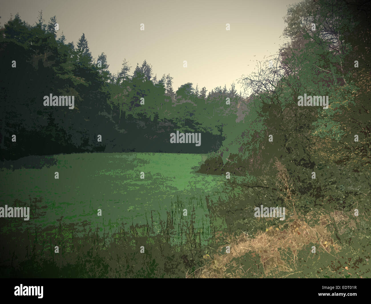 Shallcross wood hi-res stock photography and images - Alamy
