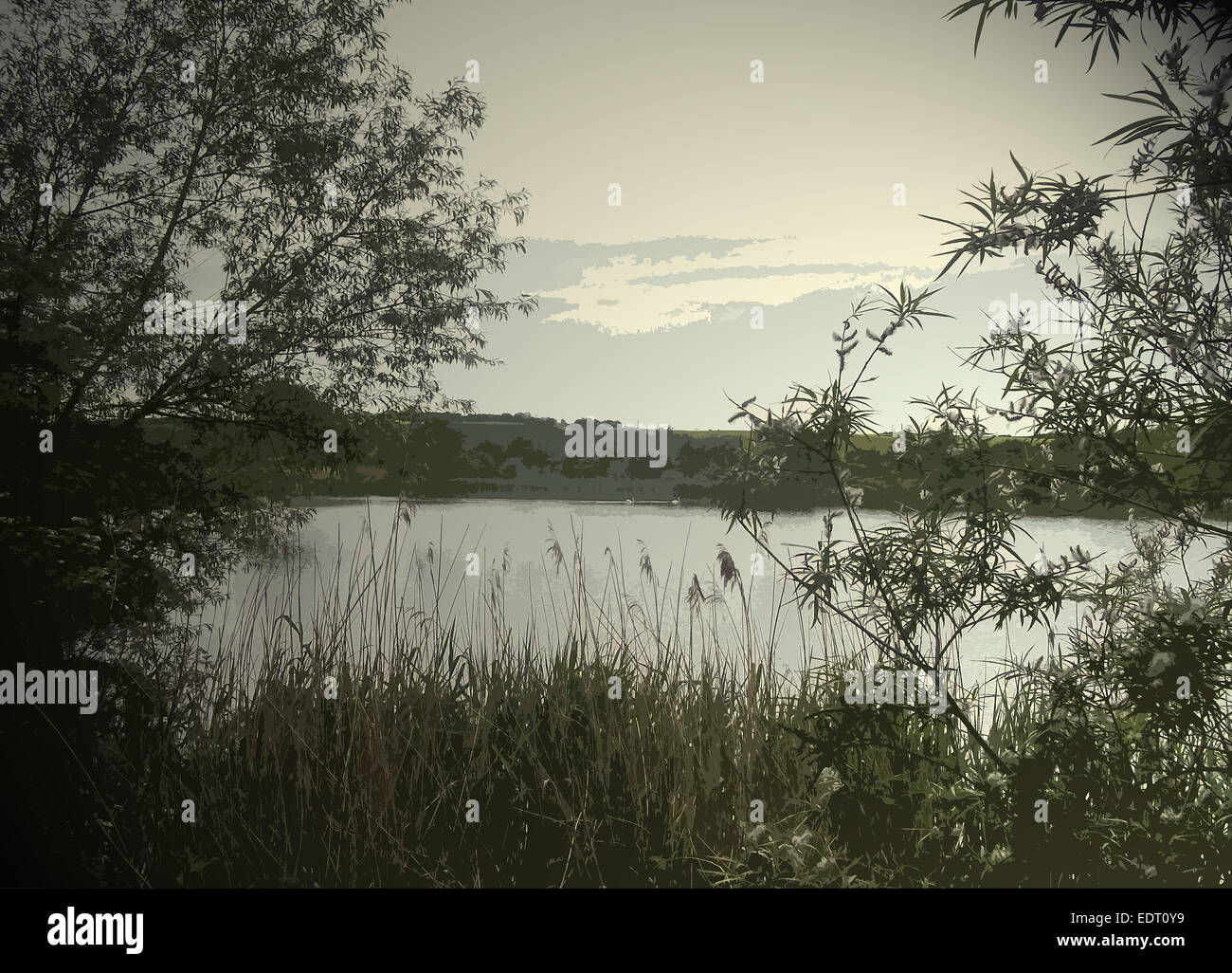 Main Pond at Carr Vale Flash Nature, This nature reserve was created ...