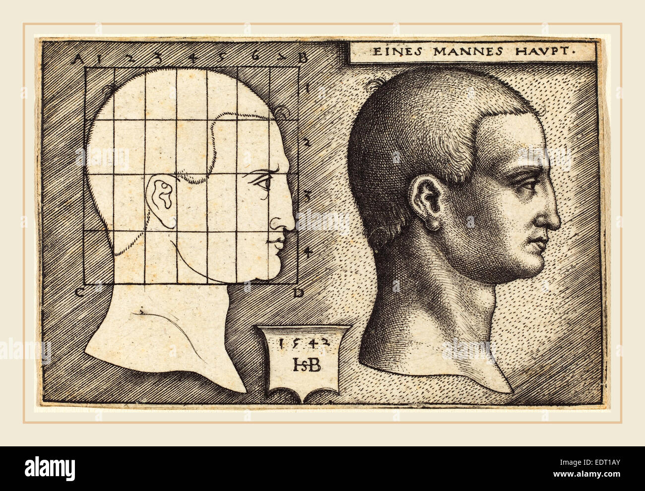 Sebald Beham (German, 1500-1550), Head of a Man, 1542, engraving Stock ...