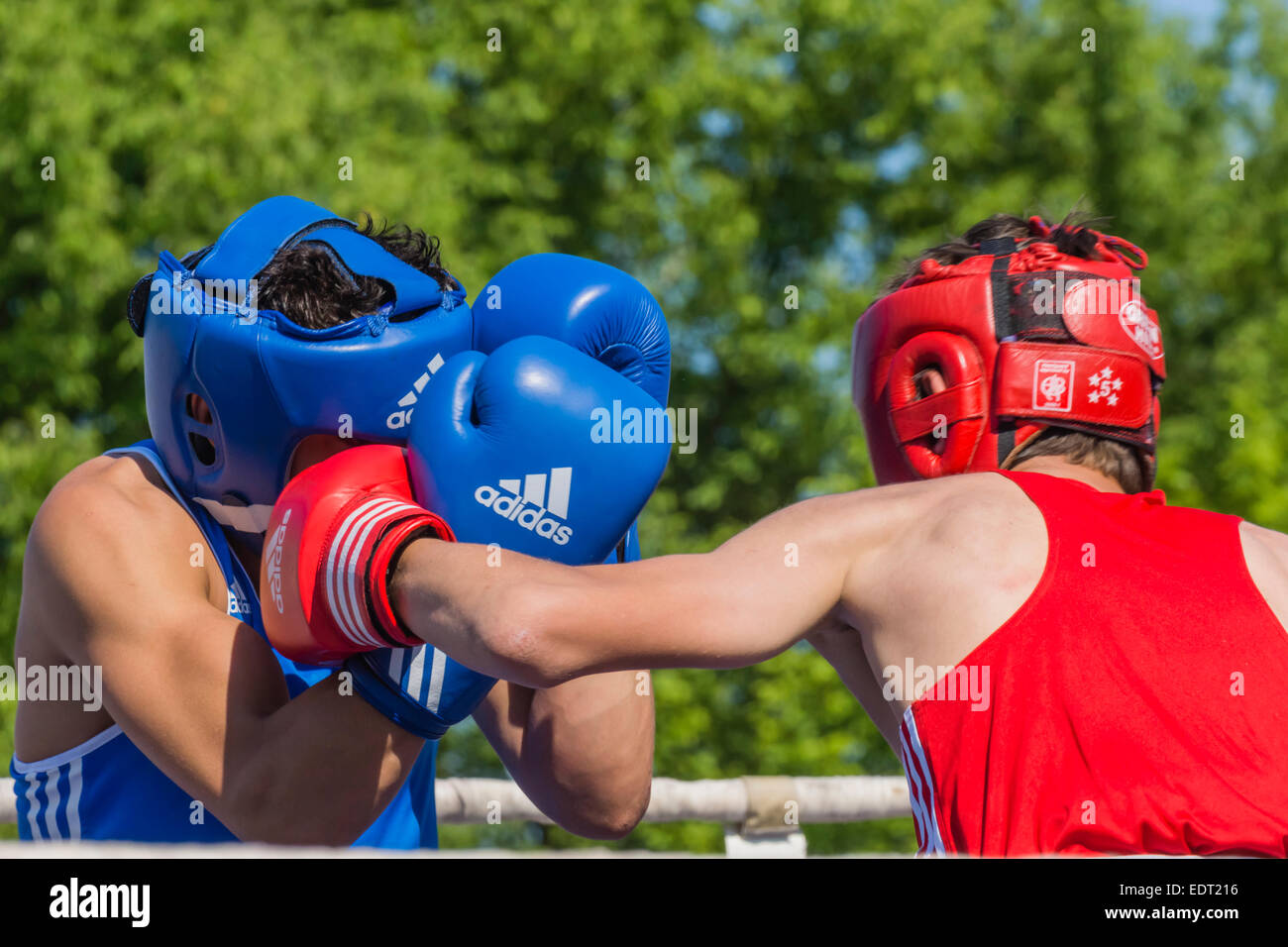 German-Russian junior amateur boxing at the German-Russian Festival ...