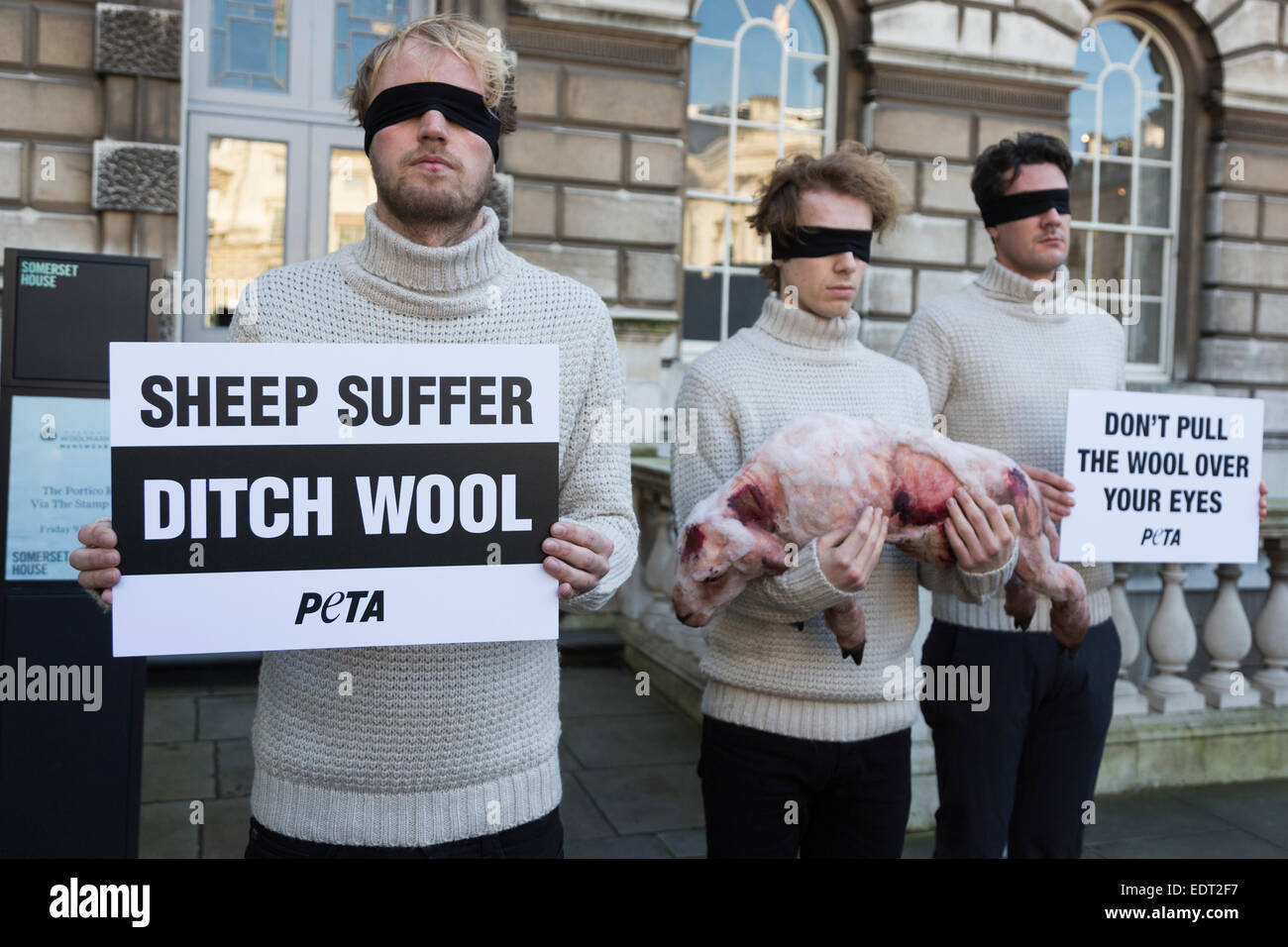 Peta animal cruelty hi-res stock photography and images - Alamy