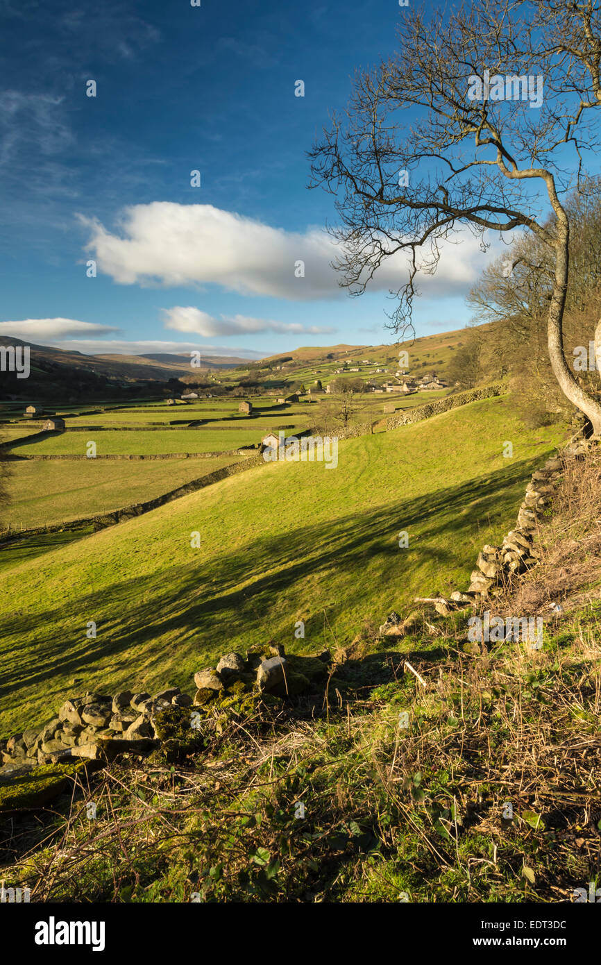 A view along a Yorkshire Dales valley, Swaledale, on a sunny January ...