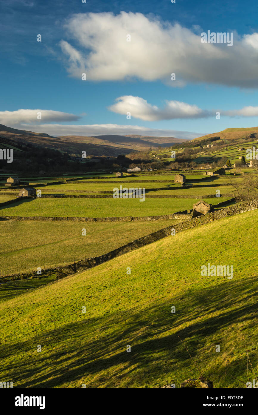 A view along a Yorkshire Dales valley, Swaledale, on a sunny January ...
