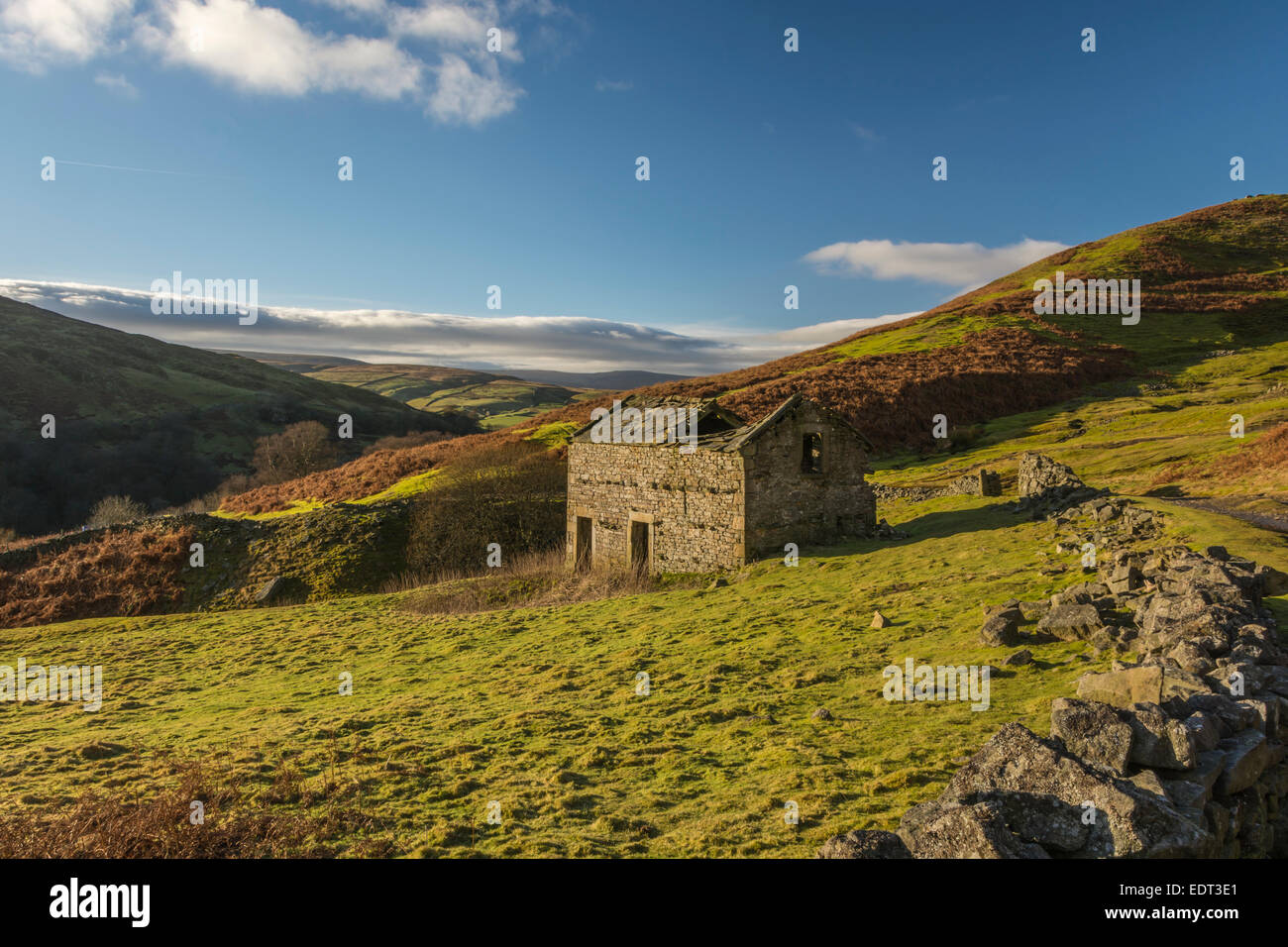 Derelict stone barn on the Yorkshire Dales above Keld on a cold January ...