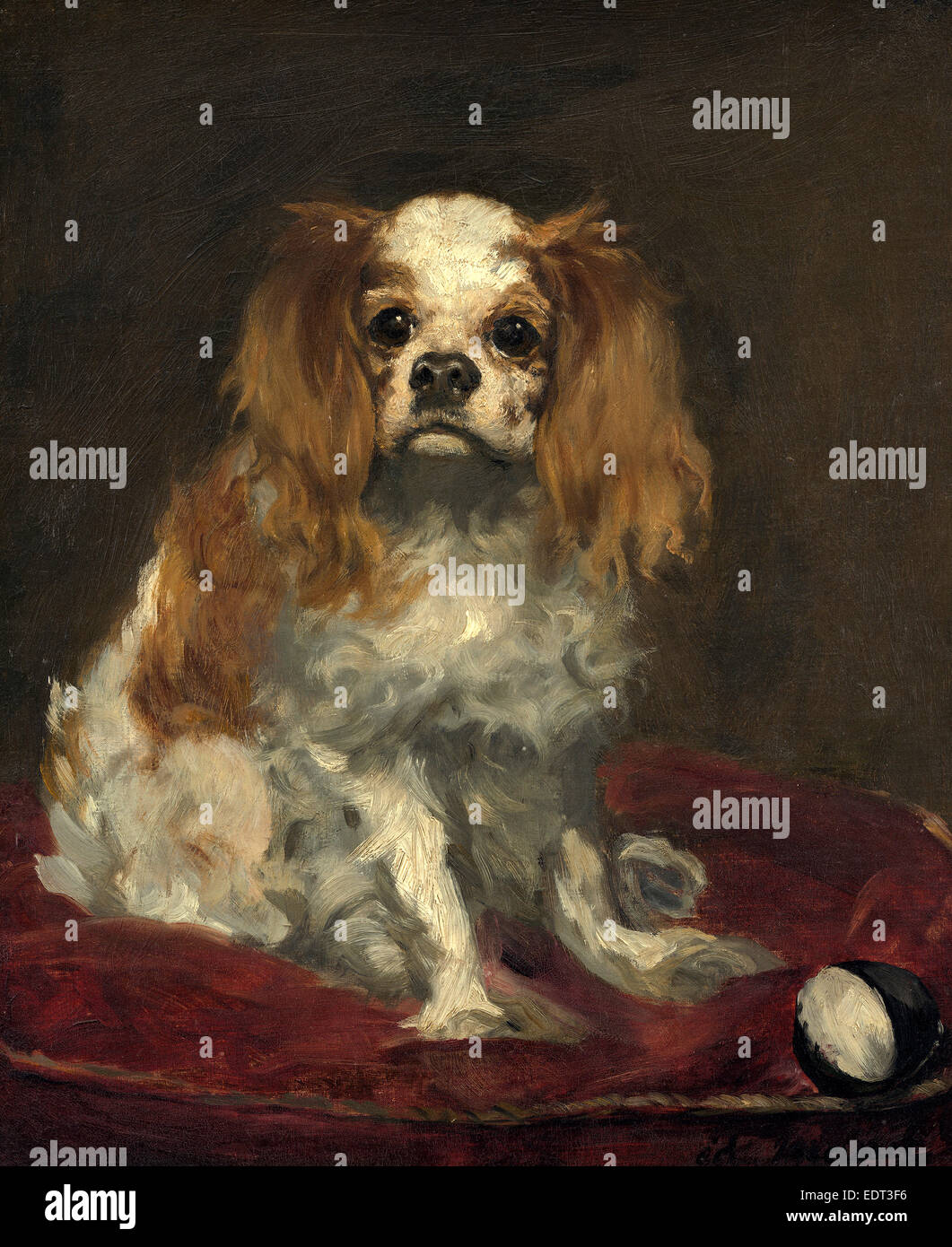 Edouard Manet (French, 1832 - 1883), A King Charles Spaniel, c. 1866 ...