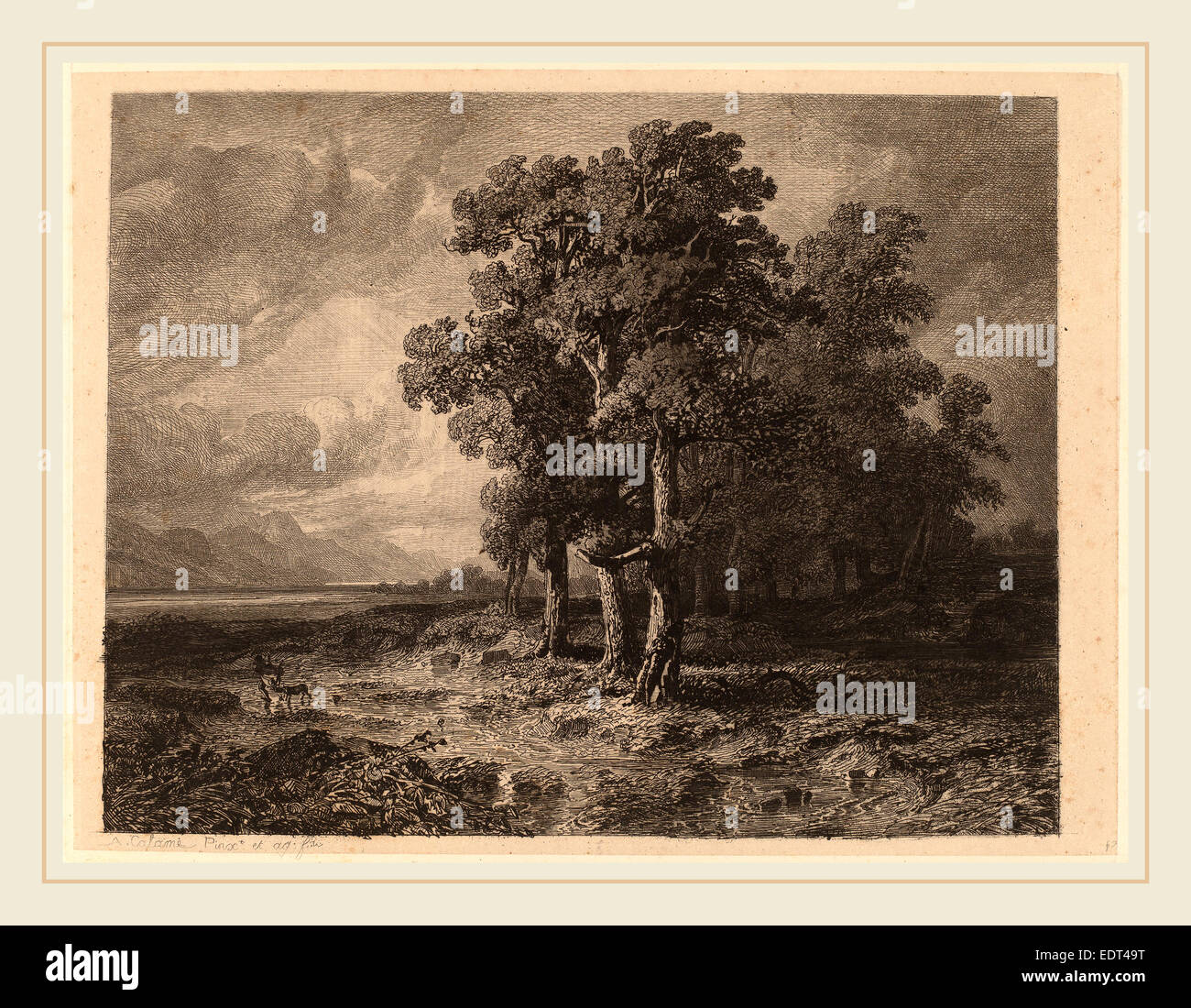 Alexandre Calame, Trees in a Storm, Swiss, 1810-1864, 1840, etching on ...