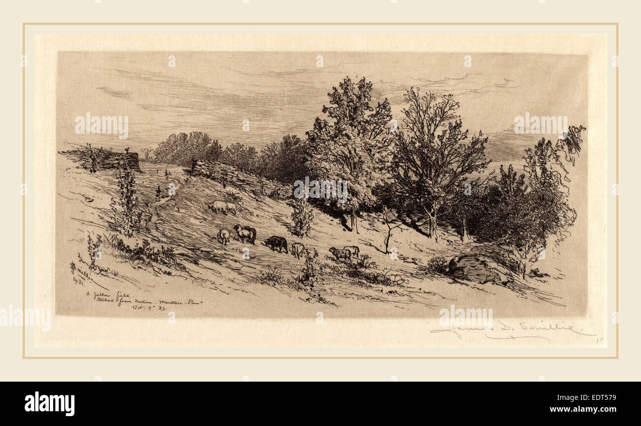 James David Smillie, A Fallow Field, American, 1833-1909, 1883, etching ...