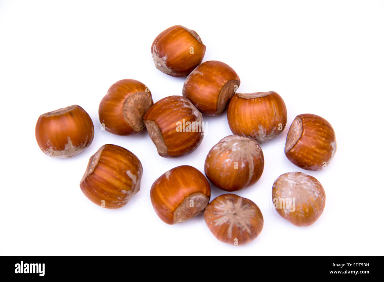 Hazelnuts on a white background seen from above Stock Photo - Alamy