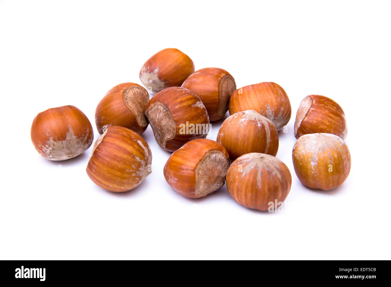 Hazelnuts on a white background seen from the front Stock Photo - Alamy