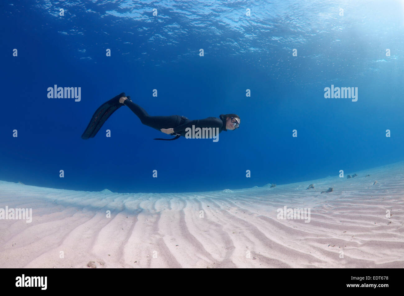 Freediver swims over a sandy bottom, Red Sea, Egypt Stock Photo - Alamy