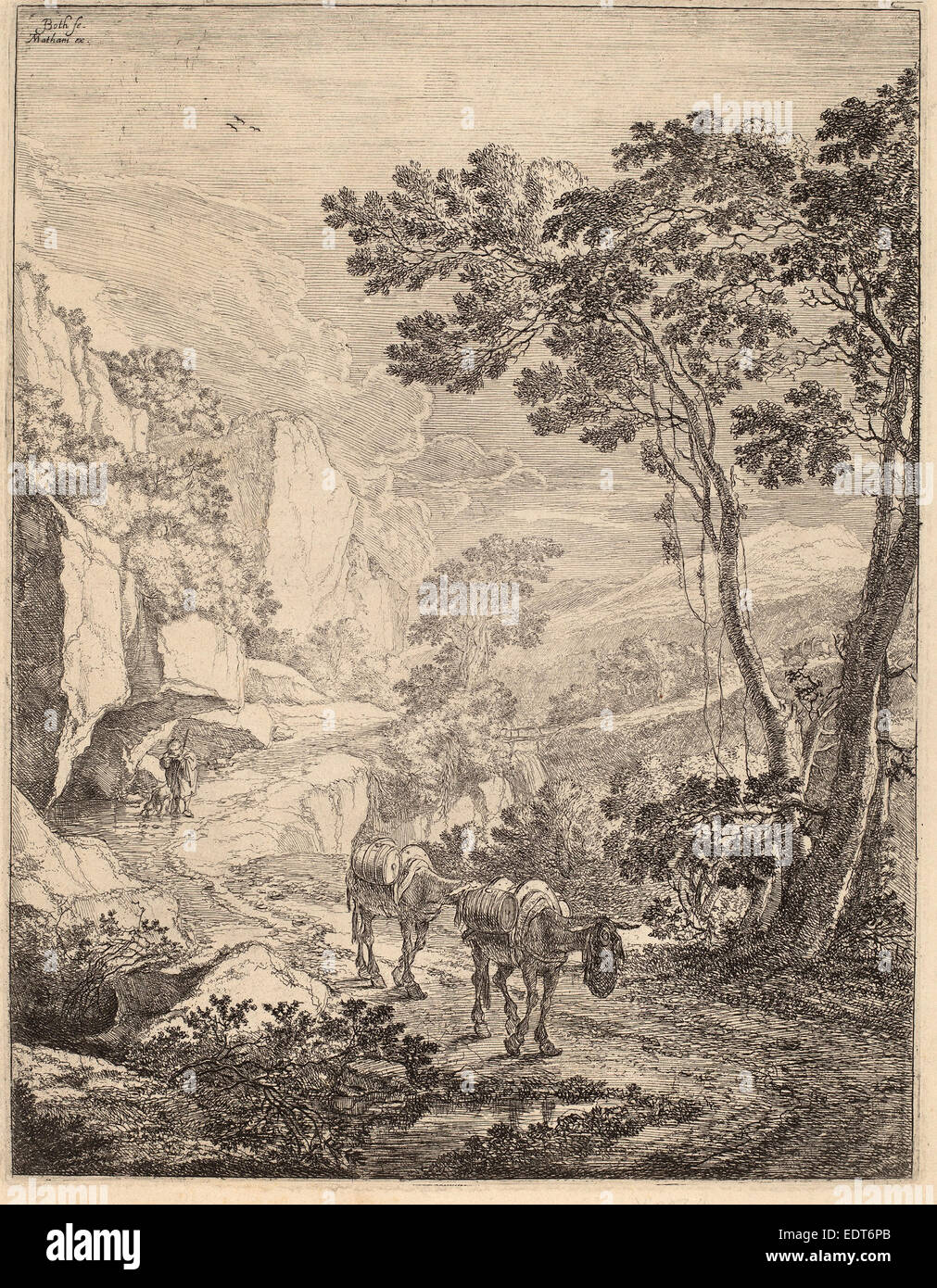 Hinnies hi-res stock photography and images - Alamy