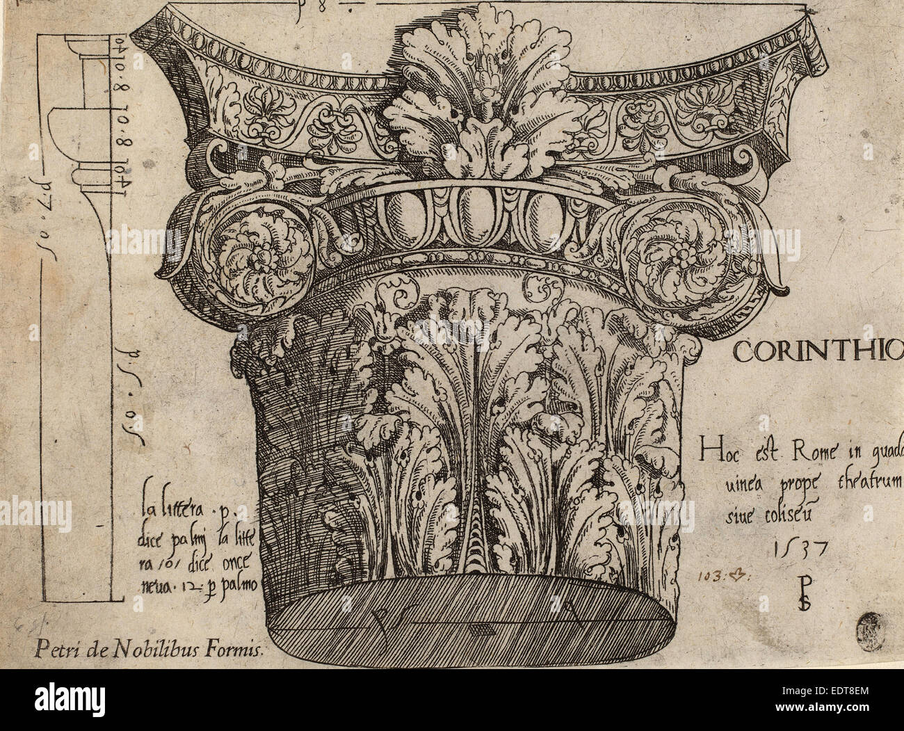 Master PS (Italian (?), active 1535-1537), Capital from the Colosseum ...