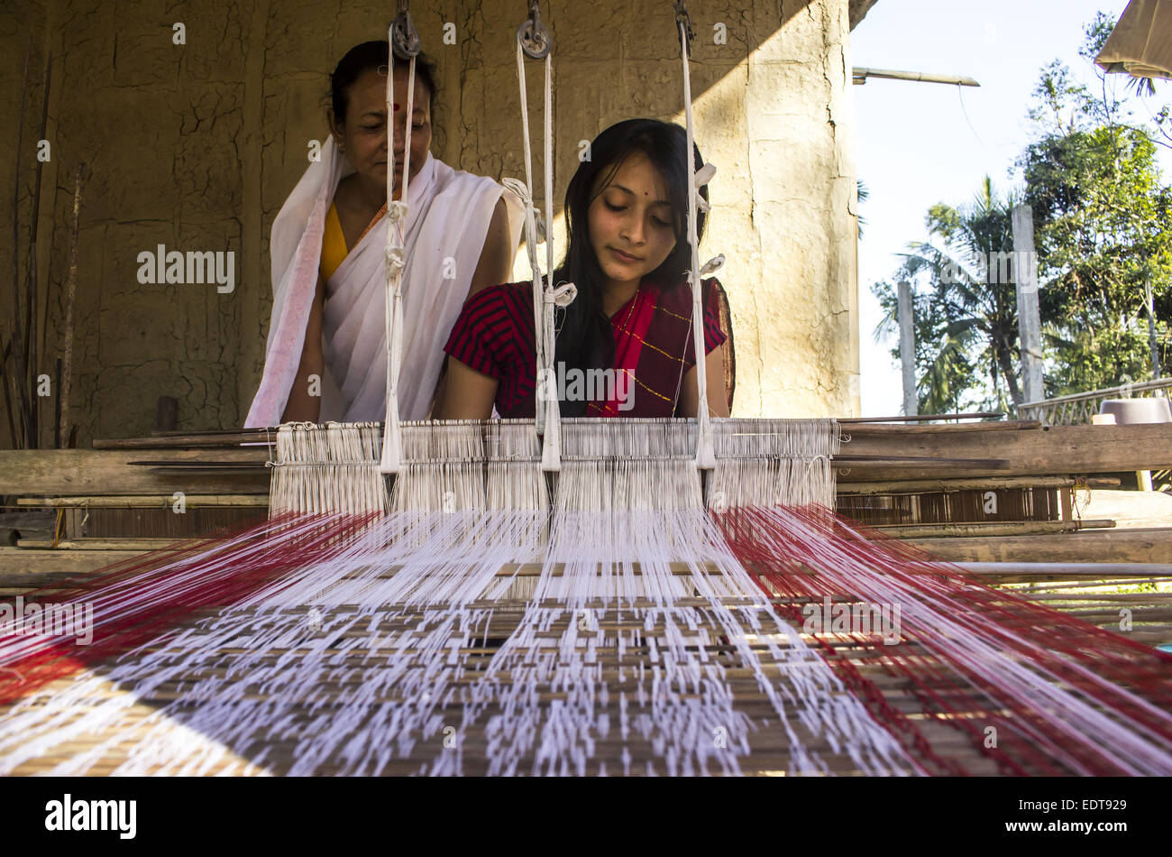 Sivasagar, Assam, India. 9th Jan, 2015. A girl weaves gamosa ...