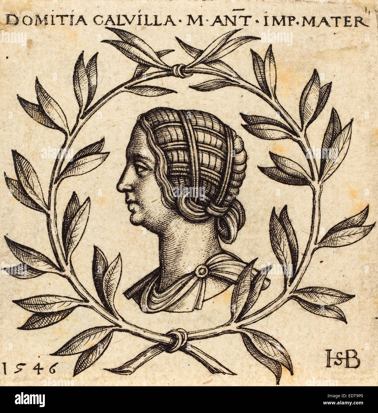 Domitia calvilla hi-res stock photography and images - Alamy