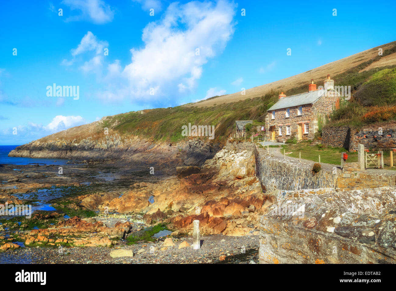 Quin hi-res stock photography and images - Alamy