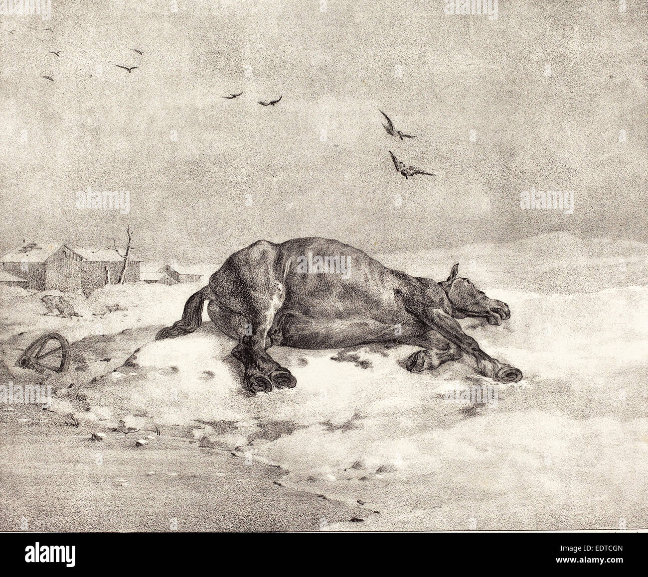Théodore Gericault (French, 1791 - 1824), Dead Horse, 1823, lithograph ...