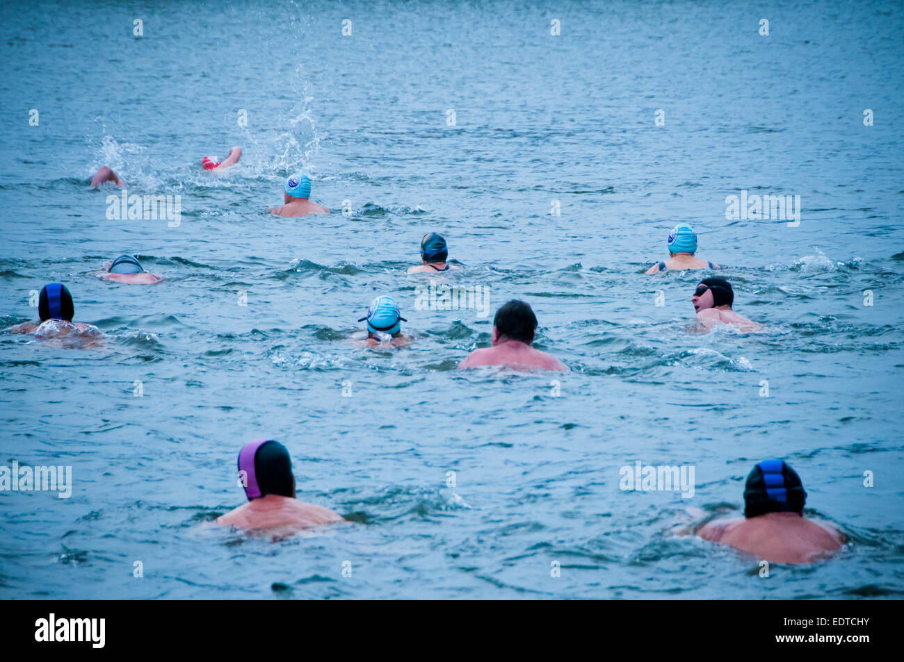 group of swimmers for the traditional beginning of year swim in the ...