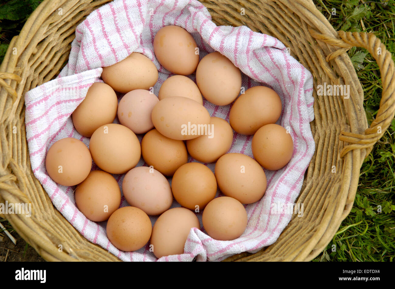Eggs in a basket Stock Photo - Alamy