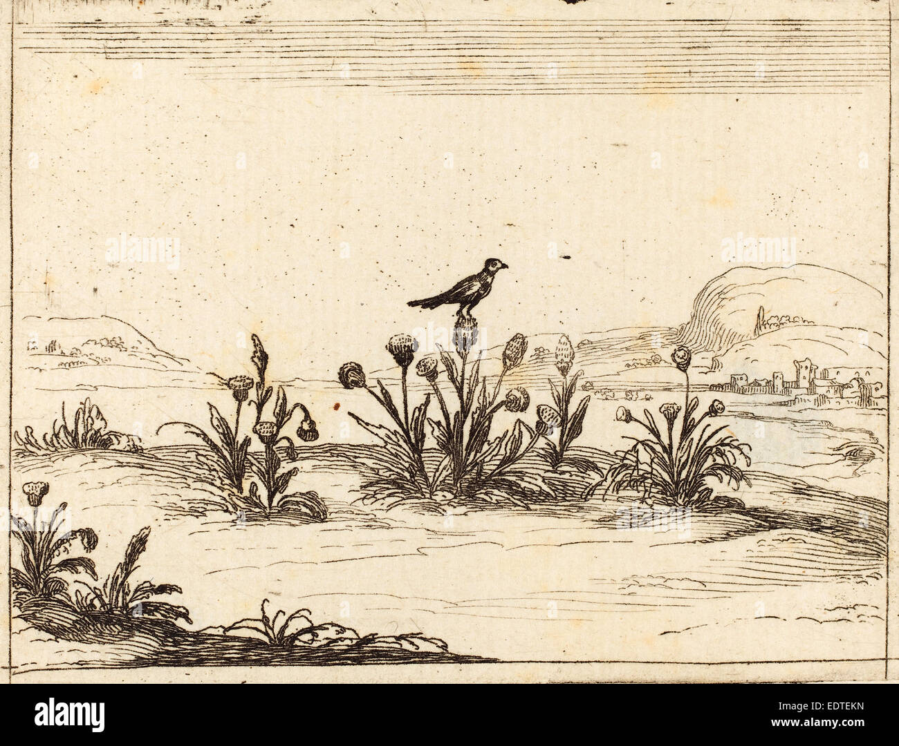 Jacques Callot (French, 1592 - 1635), Bird Perched in a Thistle, 1628 ...