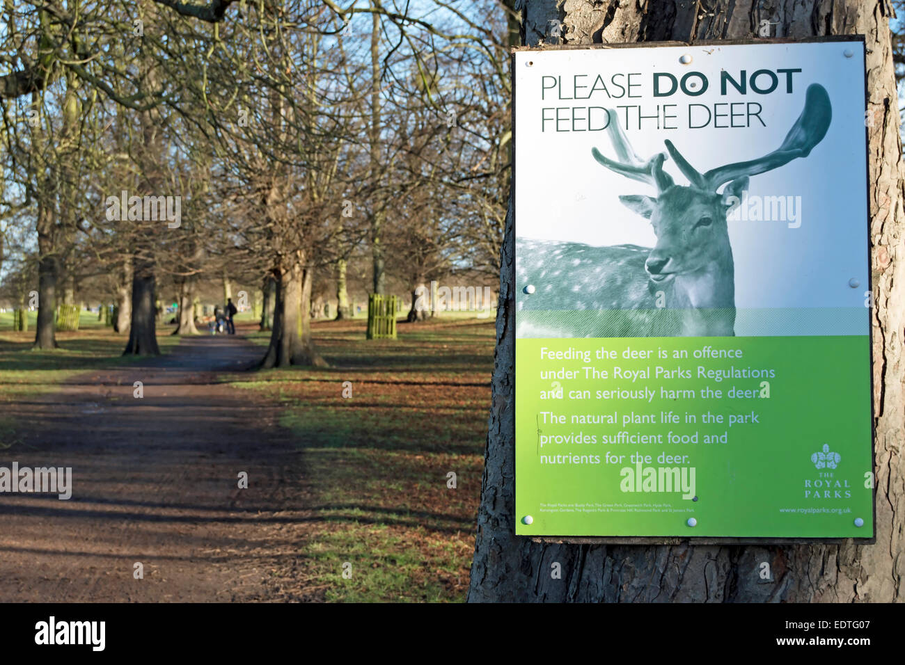 please do not feed the deer sign, bushy park, london, england Stock ...