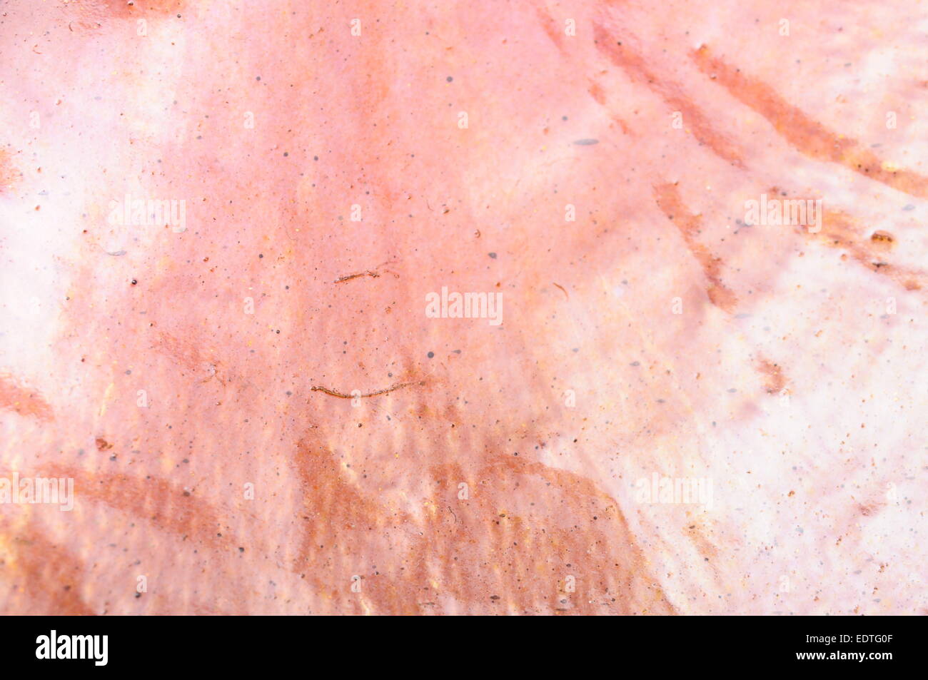 Nacre shells hi-res stock photography and images - Alamy