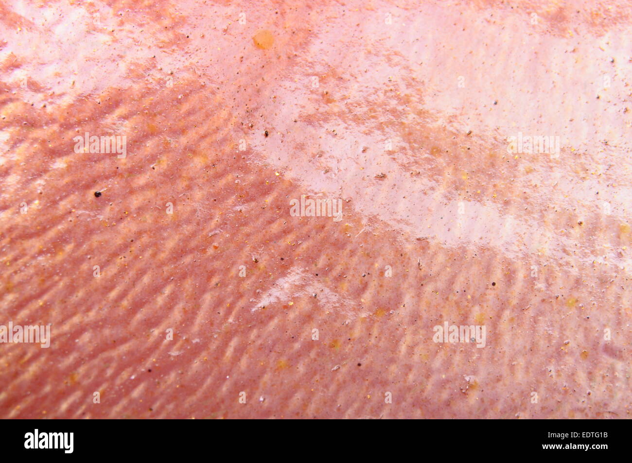 Macro of Pink shell's nacre background Stock Photo - Alamy