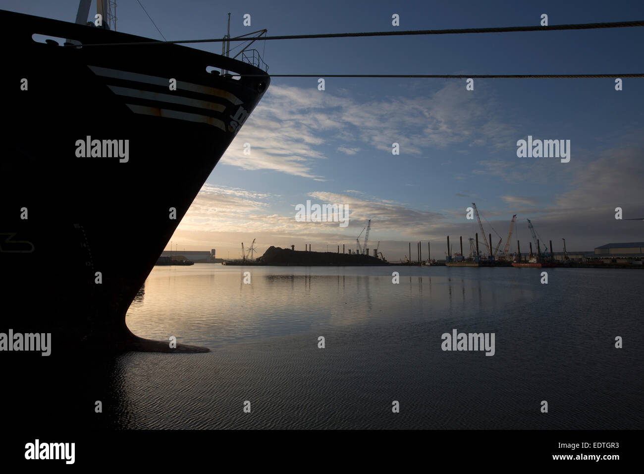 Msc sandra hi-res stock photography and images - Alamy