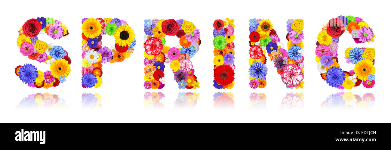 Word Spring with Reflection Made of Colorful Flowers Isolated on White ...