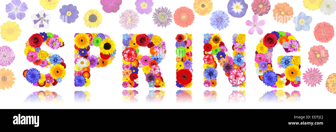 Word Spring with Reflection. Letters are Made out of Colorful Flowers ...