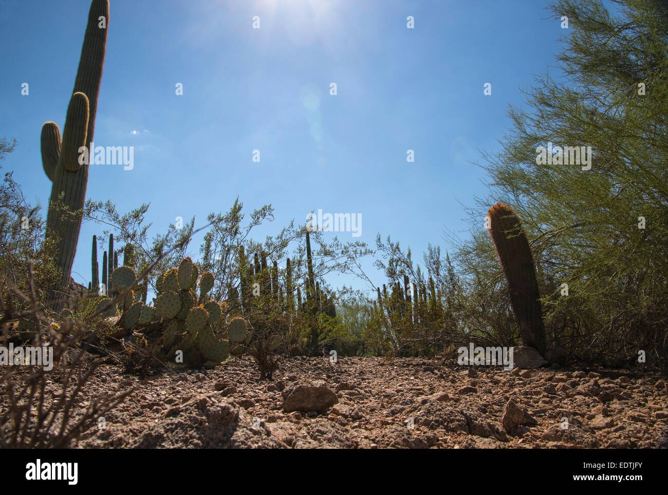 Ground level red rock hi-res stock photography and images - Alamy