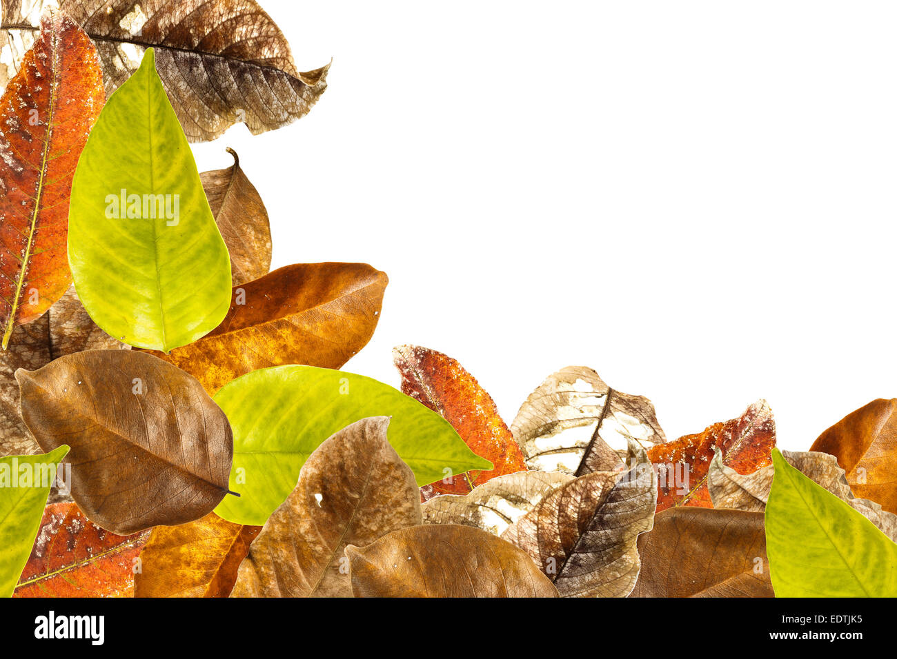 Overlap pattern hi-res stock photography and images - Alamy