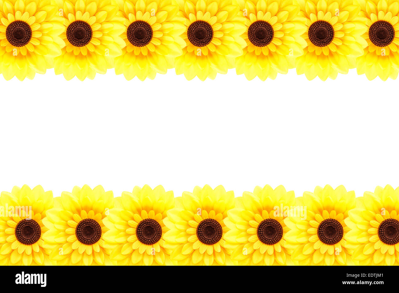 Artificial sunflower border Stock Photo - Alamy