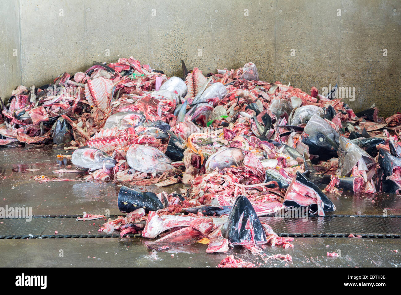 Fish garbage in the large Kitchen Waste rubbish, for recycling Stock ...