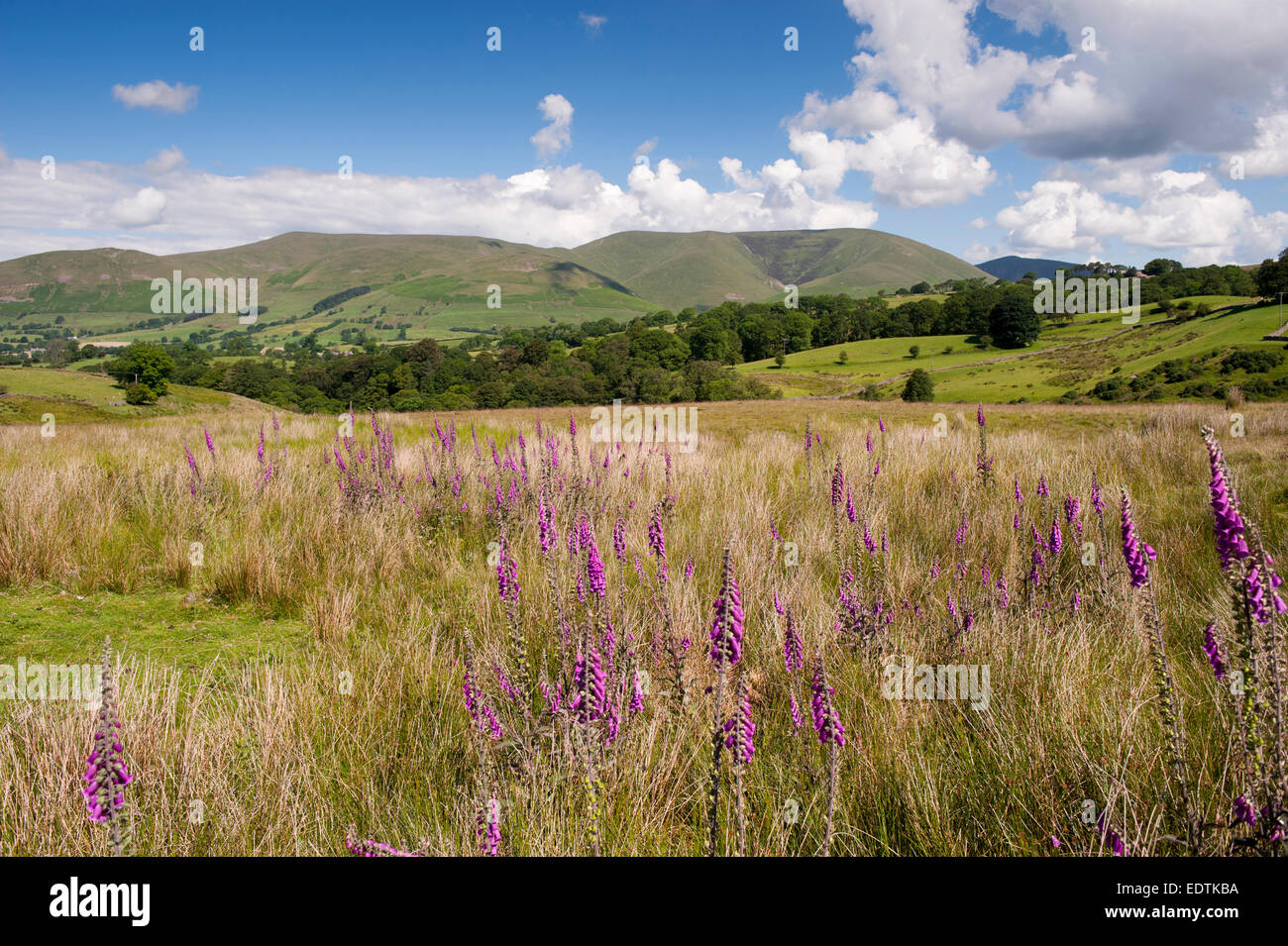 Eastern howgills hi-res stock photography and images - Alamy