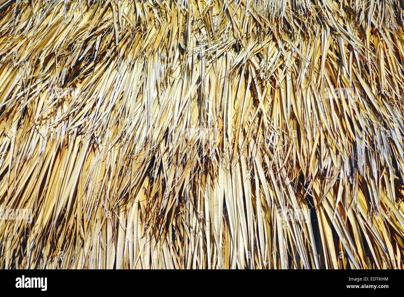 Dried palm tree leaves roof in Varadero, Cuba Stock Photo - Alamy