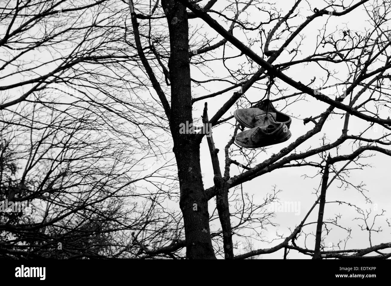 Tied to tree Black and White Stock Photos & Images - Alamy