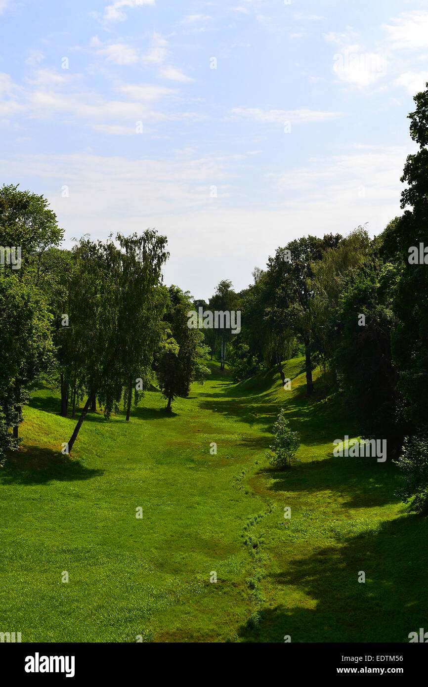Green meadow and trees at bright summer day Stock Photo - Alamy