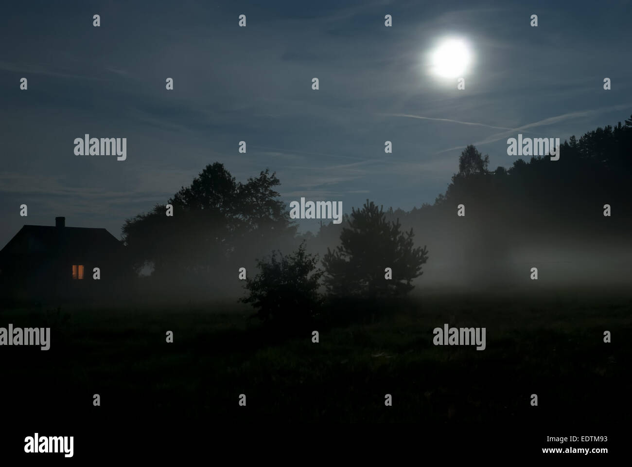 Night landscape. Fog on the fringe of the forest at the edge of the ...