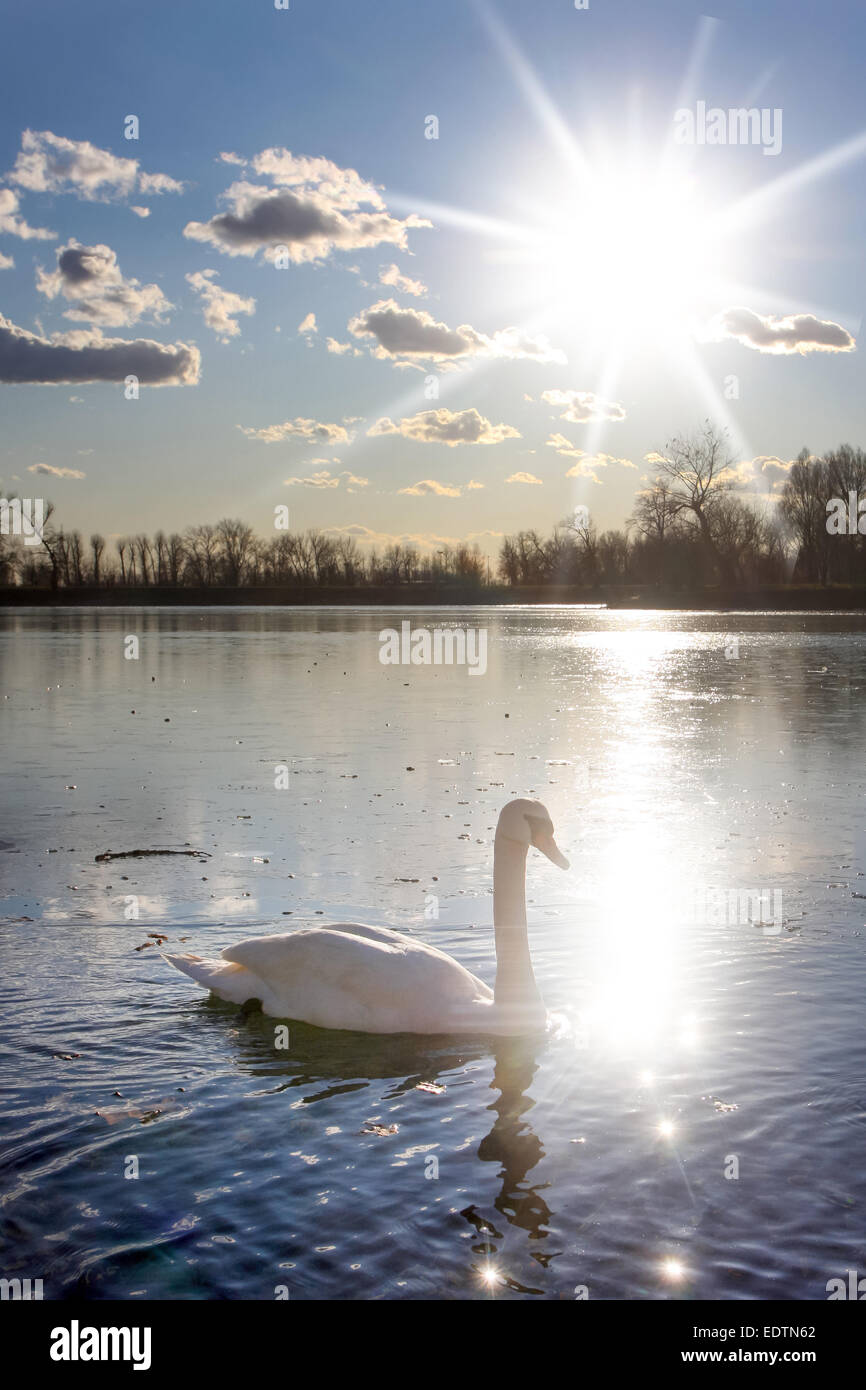 Half frozen pond in black hi-res stock photography and images - Alamy