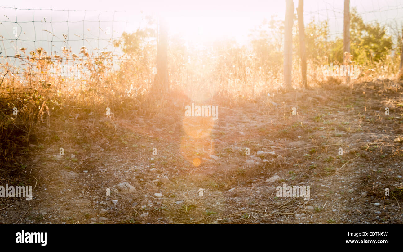 Sunset in front of photographer face Stock Photo - Alamy