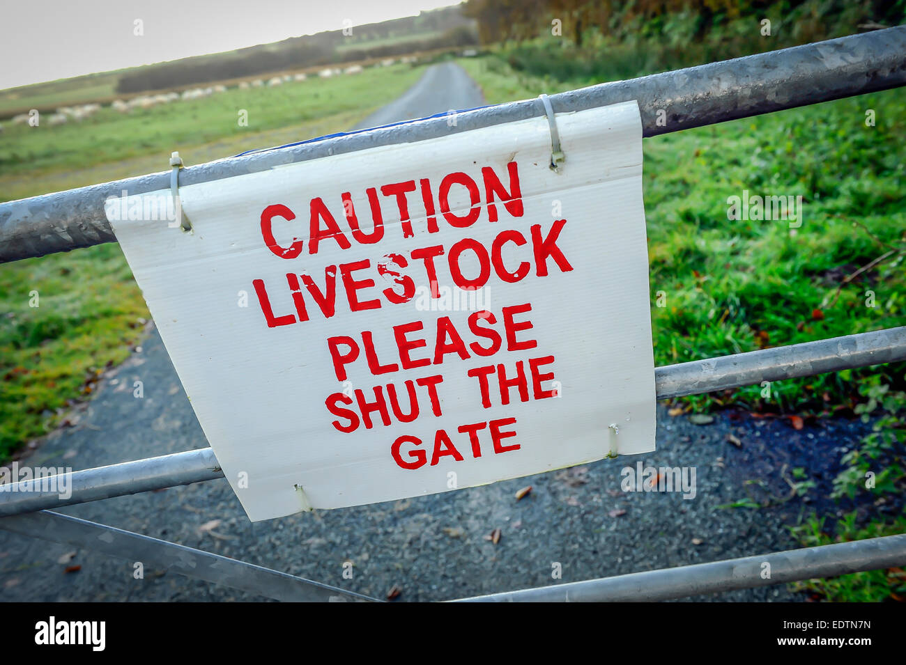 Livestock shut gate farm sign Stock Photo - Alamy