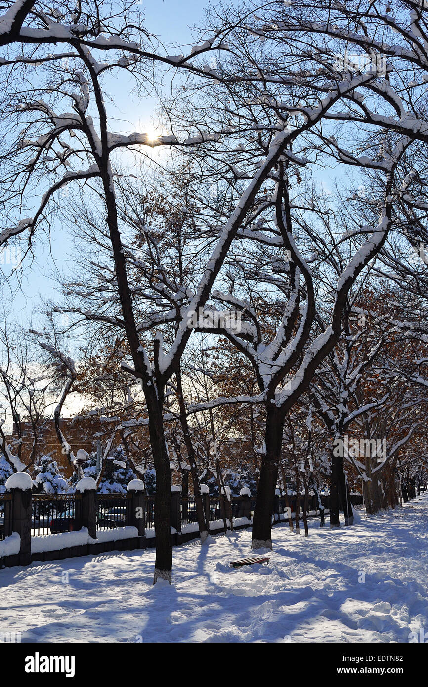 Park in winter with snow Stock Photo - Alamy