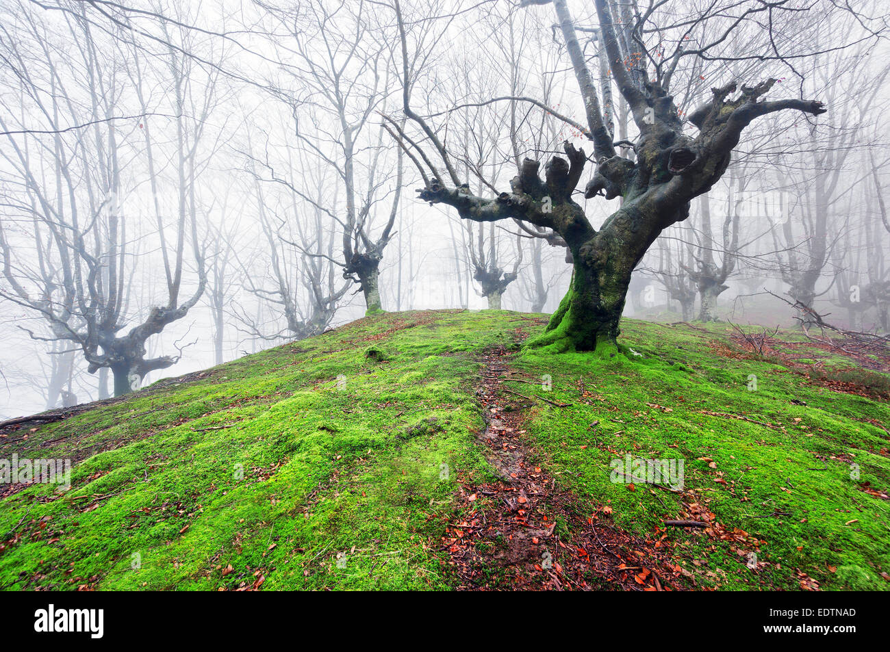 Fog trail hi-res stock photography and images - Alamy