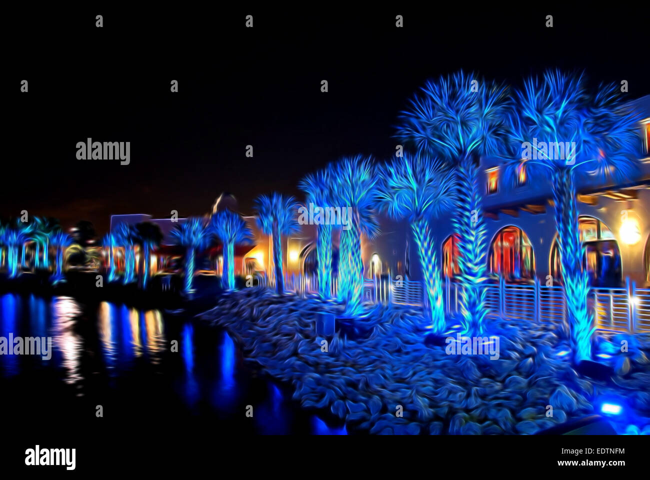 Nighttime promenade with palms trees under blue lights Stock Photo - Alamy