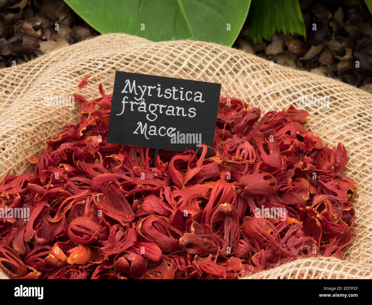 spice Stock Photo - Alamy