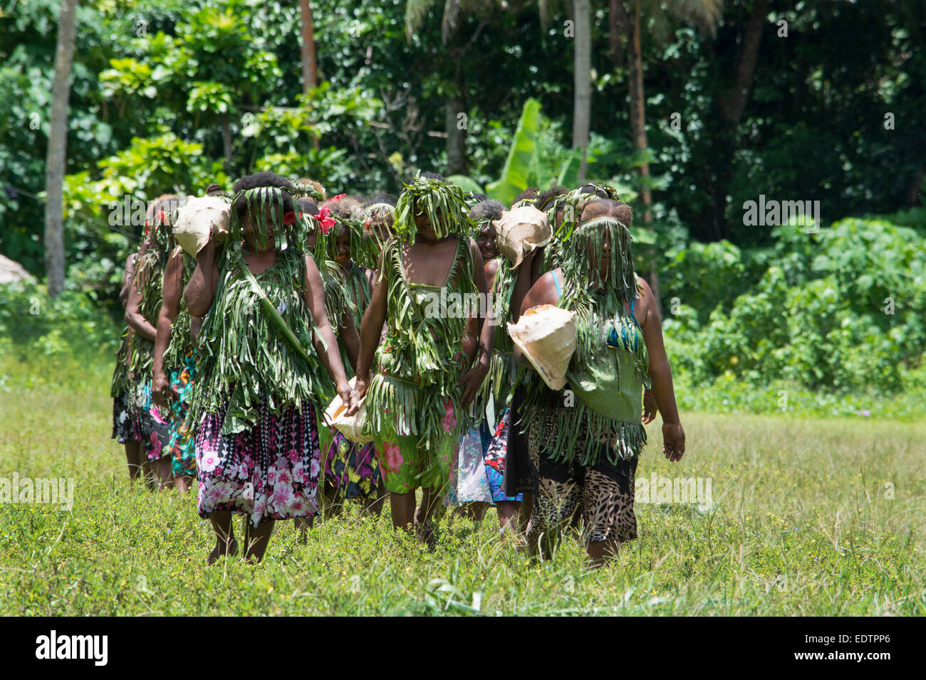 Melanesia, Makira-Ulawa Province, Solomon Islands, island of Owaraha or ...