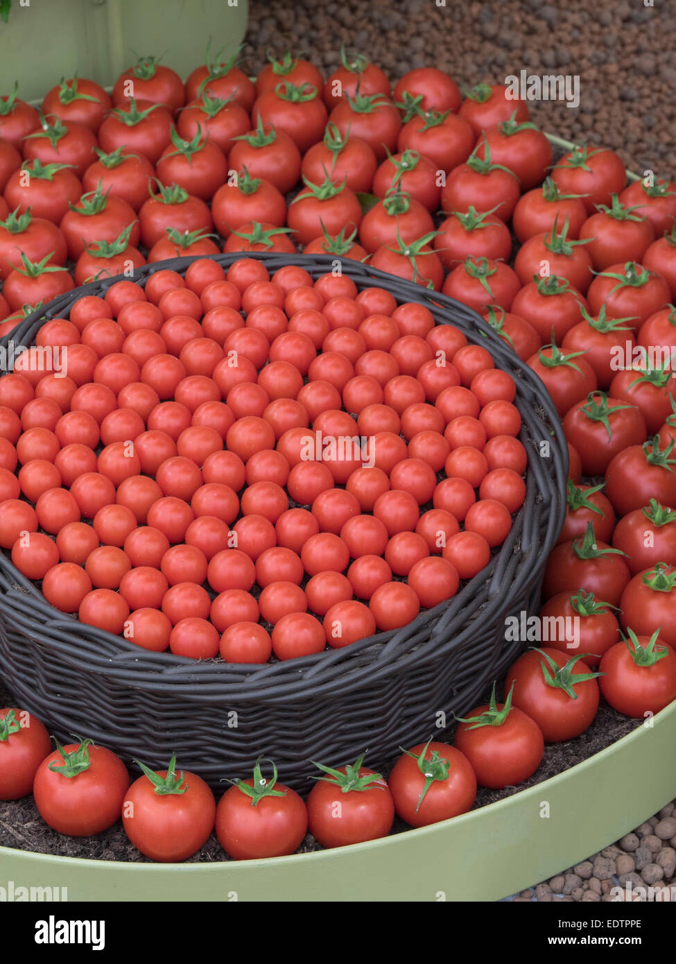 Tomato display hi-res stock photography and images - Alamy
