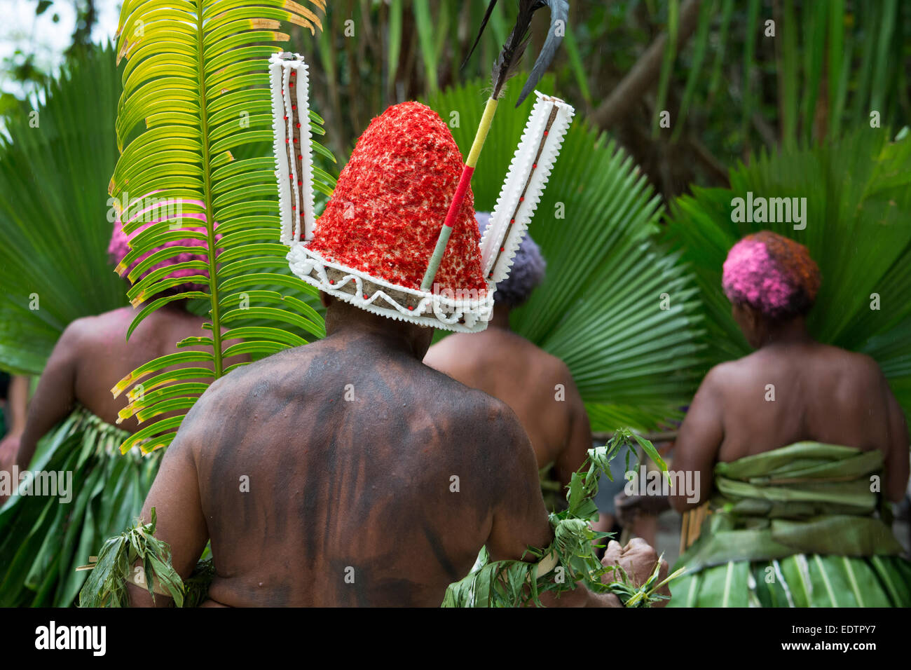 Republic of Vanuatu, Torres Islands, Loh Island. Folkloric ...
