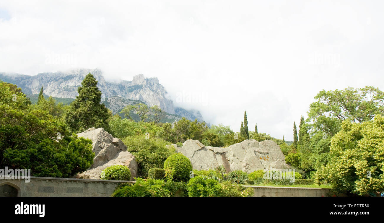 Landscape with hills in clouds and tropical plants, recorded in park of ...